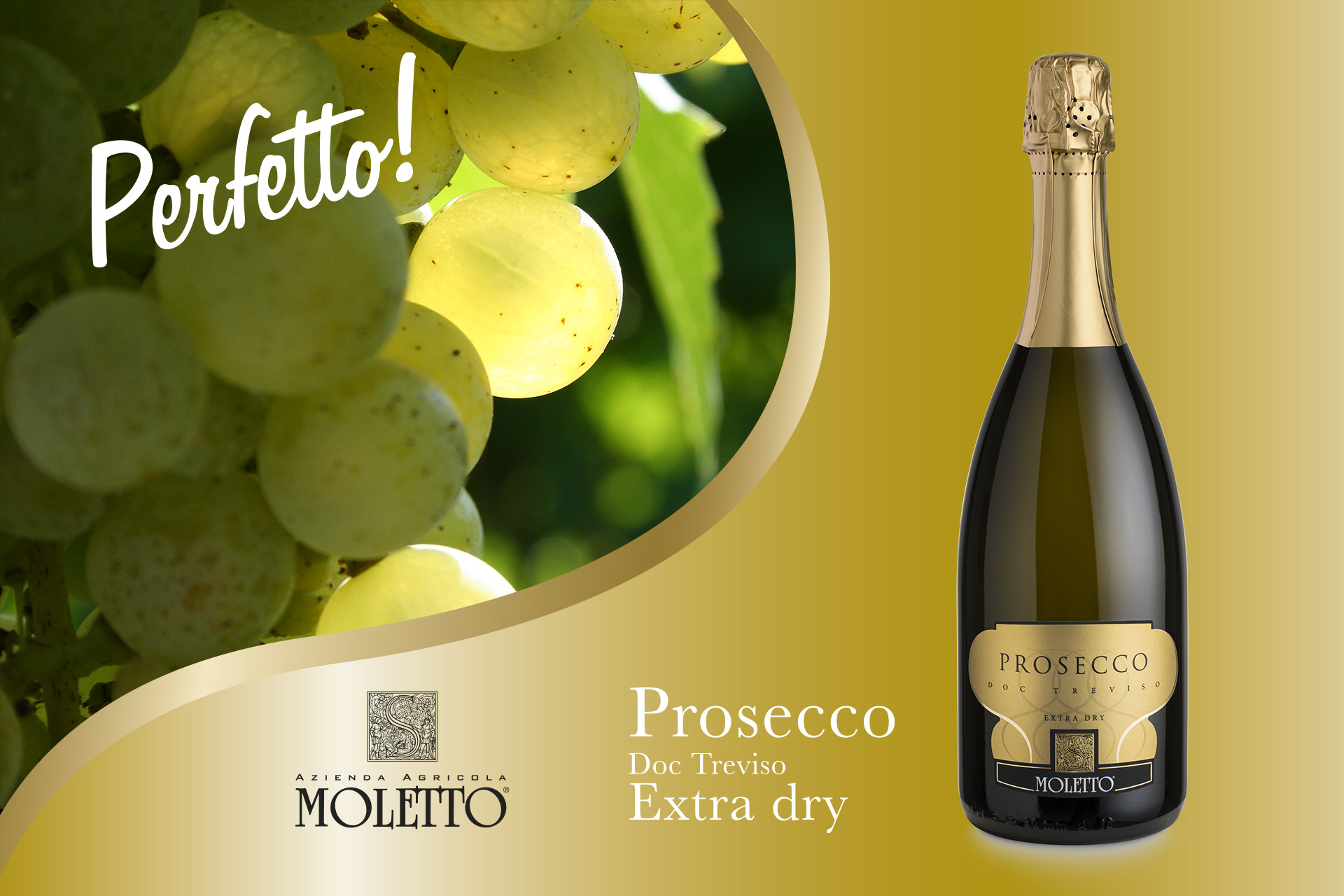 MOLETTO WINERY